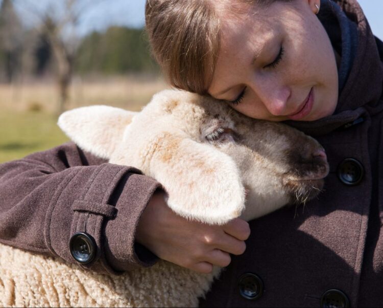 Animal Equality | Mettiamo fine al maltrattamento degli animali