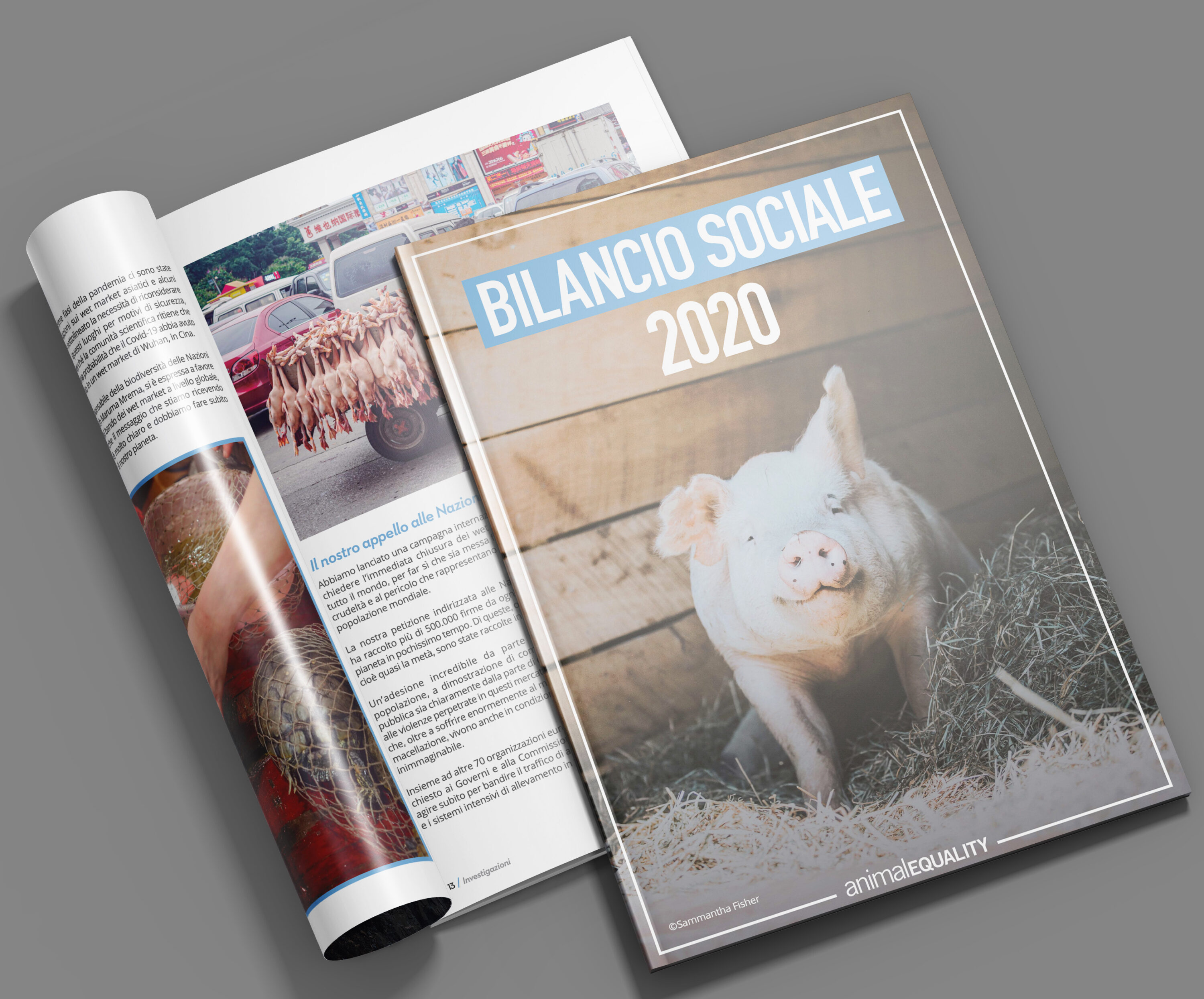 IL BILANCIO SOCIALE 2020 DI ANIMAL EQUALITY ITALIA | Animal Equality Italia