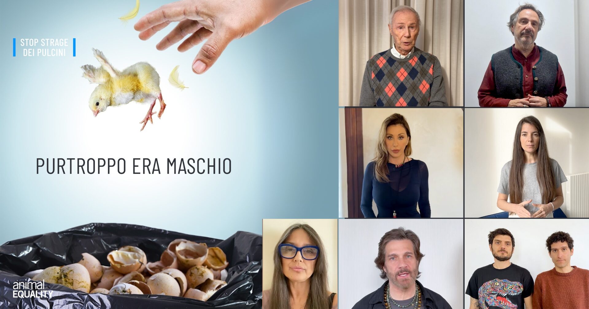 Da Mario Tozzi a Giulia Innocenzi: fermiamo la strage dei pulcini